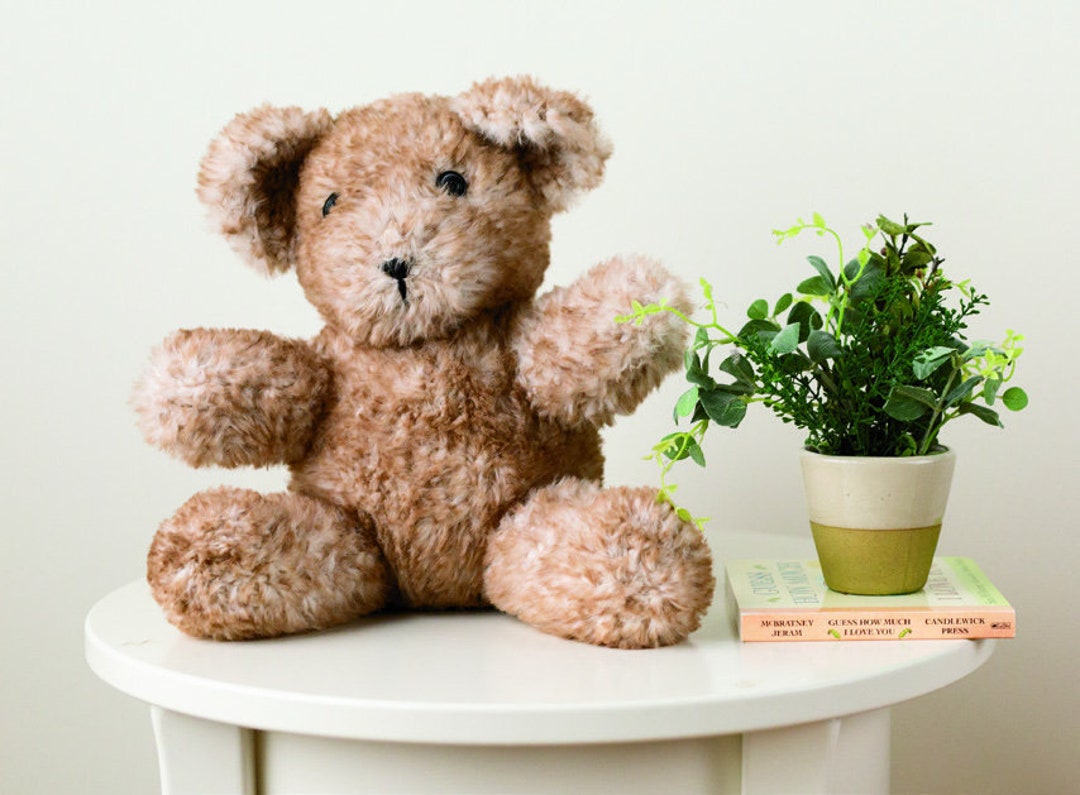 Enchanting Embrace: the Fluffy Teddy Bear - Your Pint-sized Pal of ...