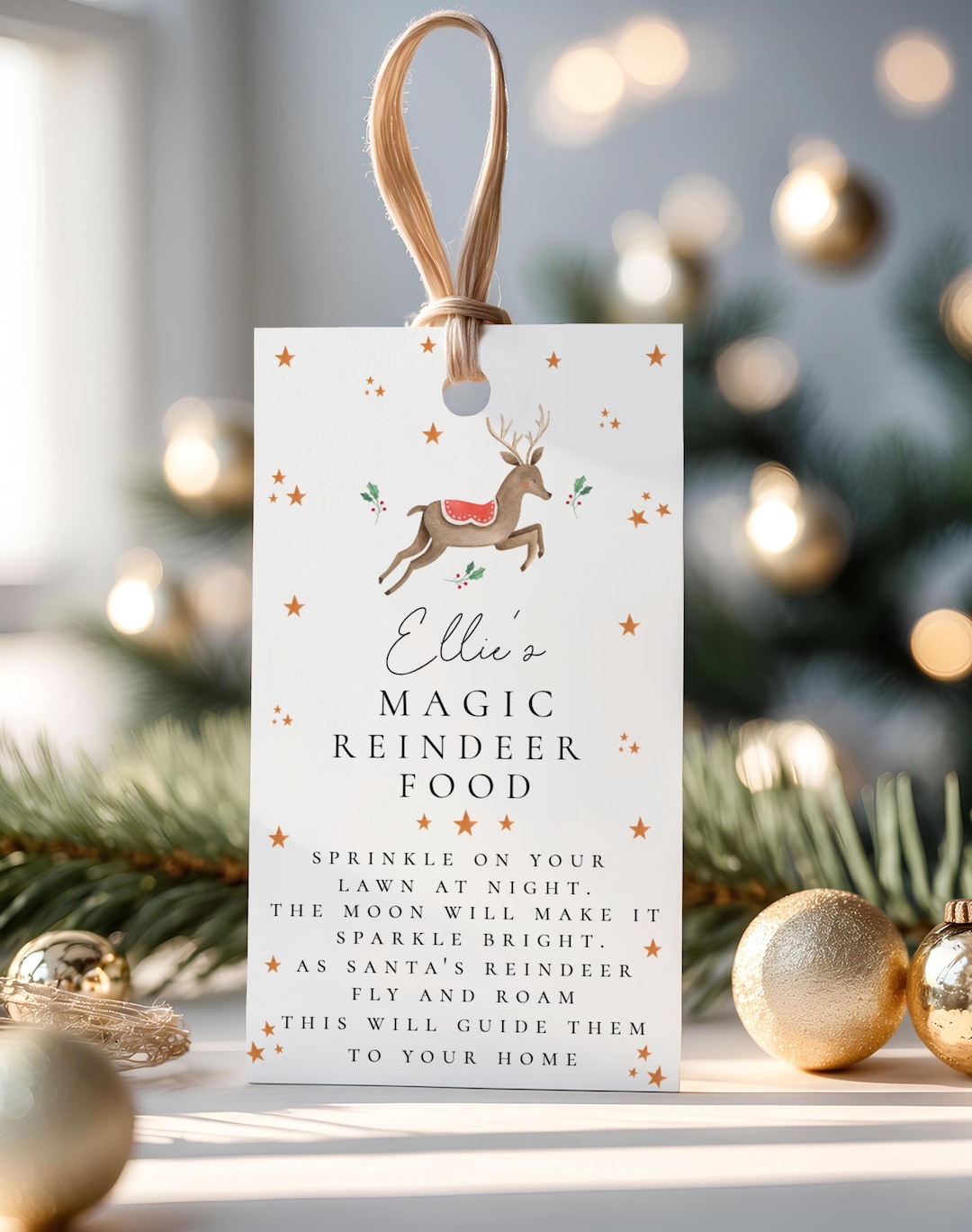 Printable Reindeer Food Tag Template , Christmas Eve Box, Magical ...