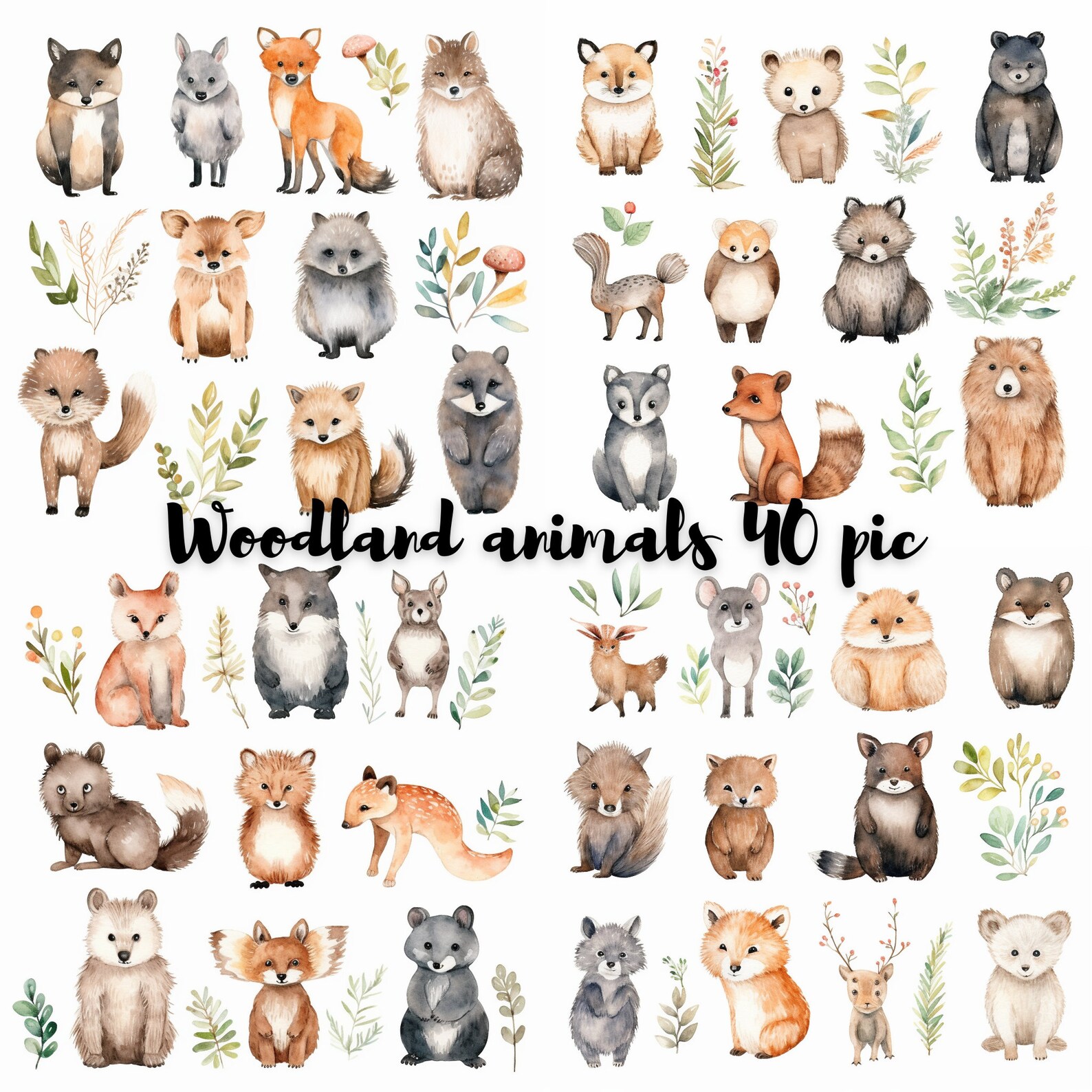 Clipart Woodland Animals Background Transparent - Etsy