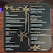 Git Cheat Sheet Coaster - Premium Circuit Board Coaster for Developers ...