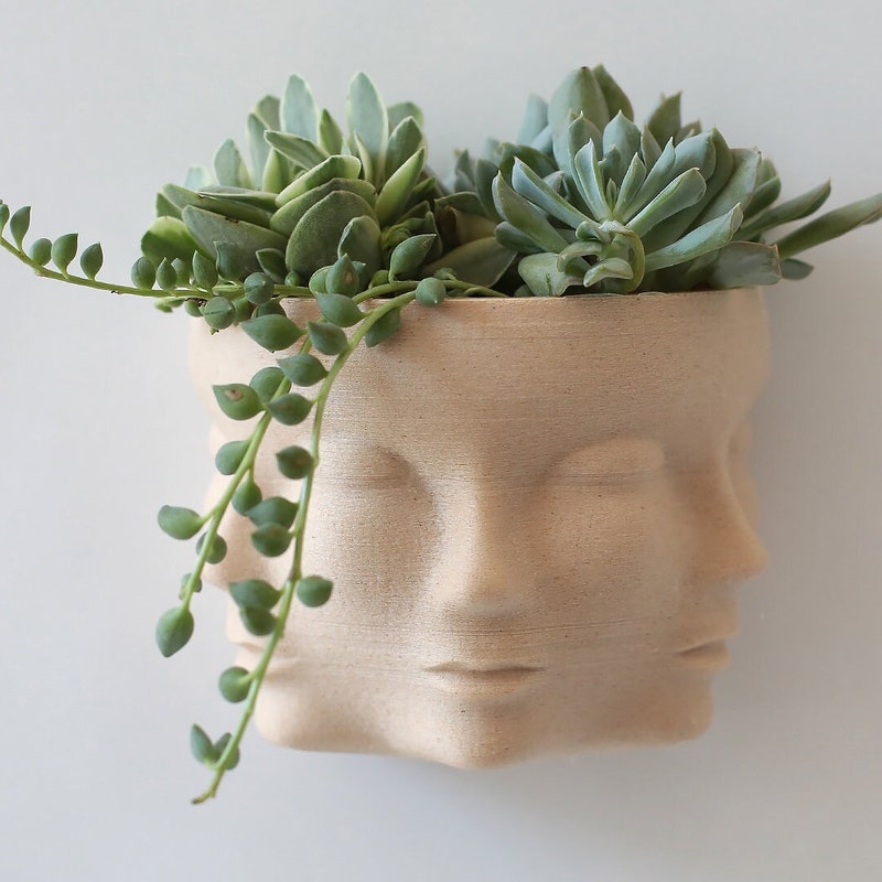 Multi Face Planter - Etsy
