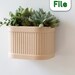Wall Mounted Planter STL File for 3D Printing Inspired From Greek ...