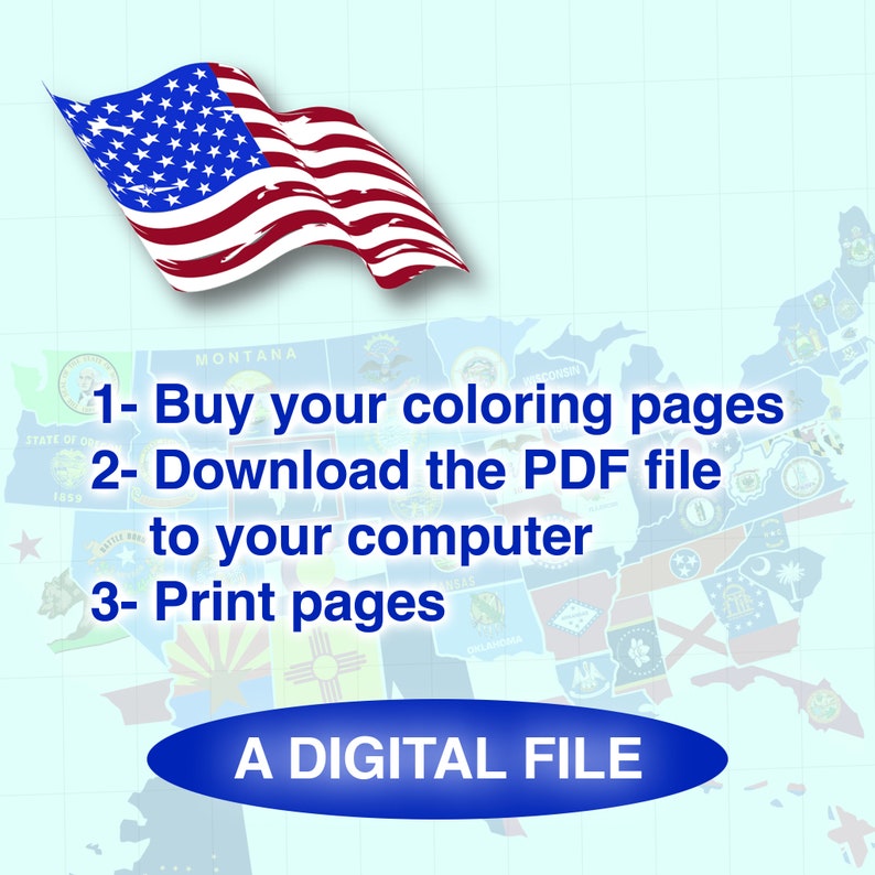 All USA 50 State Flags + Territories + US Flag. Mega Bundle Excellent ...