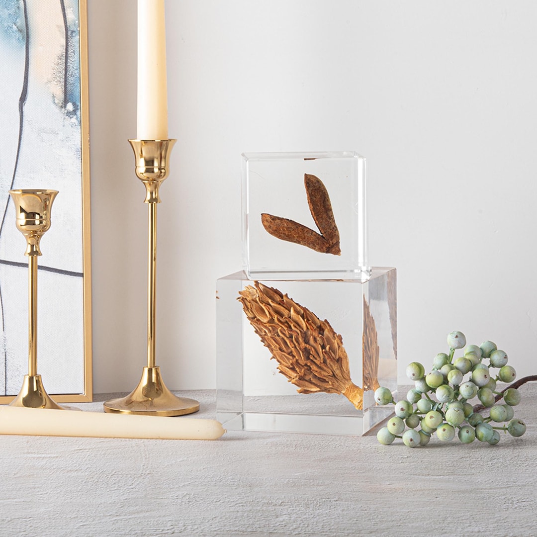 Nordic Nature Magnolia Pod Cube Decor, | Frozen Nature | Preserved Seed ...