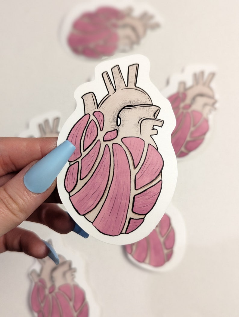 Concha Heart Sticker, Mexican Art, Concha, Mexican Artist, Spooky Art ...