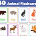 Animal Flashcards | Flashcards | Learn Animals | Preschool Memory Game ...