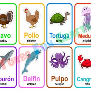 Spanish & English Animal Flashcards | Printable Bilingual Animals Flash ...