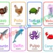 Spanish & English Animal Flashcards | Printable Bilingual Animals Flash ...