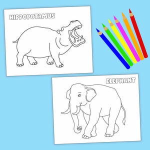 Exotic Animals Coloring Pages | Exotic Animal Coloring Book Pages ...