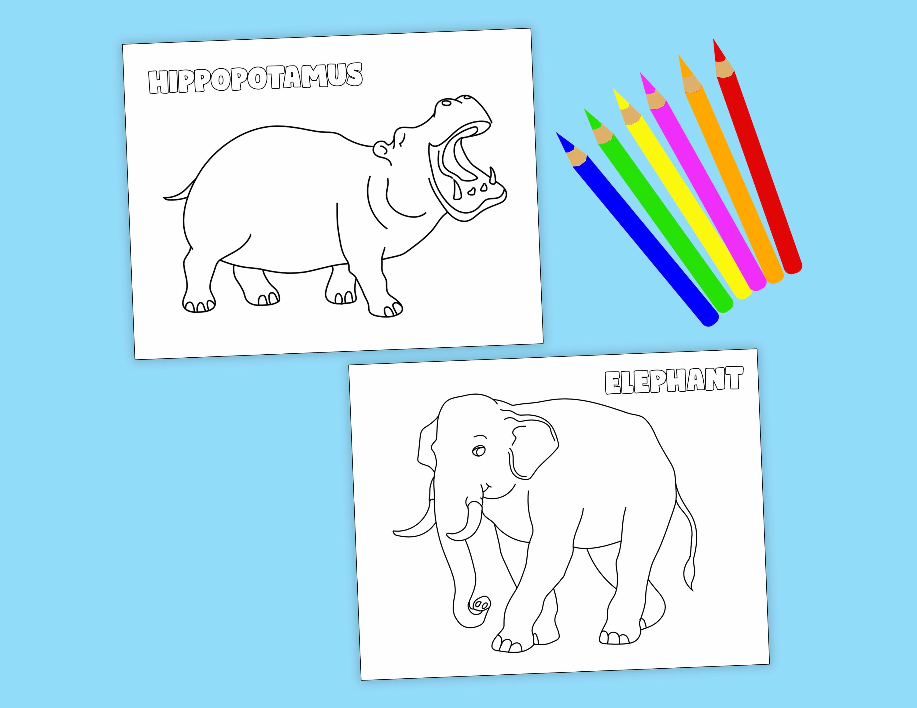 Exotic Animals Coloring Pages | Exotic Animal Coloring Book Pages ...