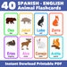 Spanish & English Animal Flashcards | Printable Bilingual Animals Flash ...