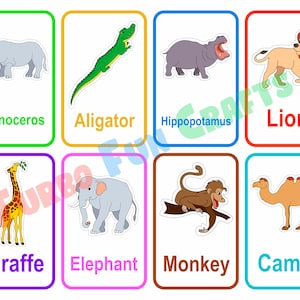 Animal Flashcards | Flashcards | Learn Animals | Preschool Memory Game ...