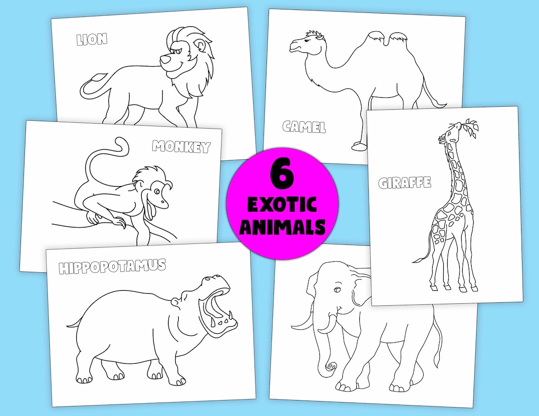 Exotic Animals Coloring Pages | Exotic Animal Coloring Book Pages ...
