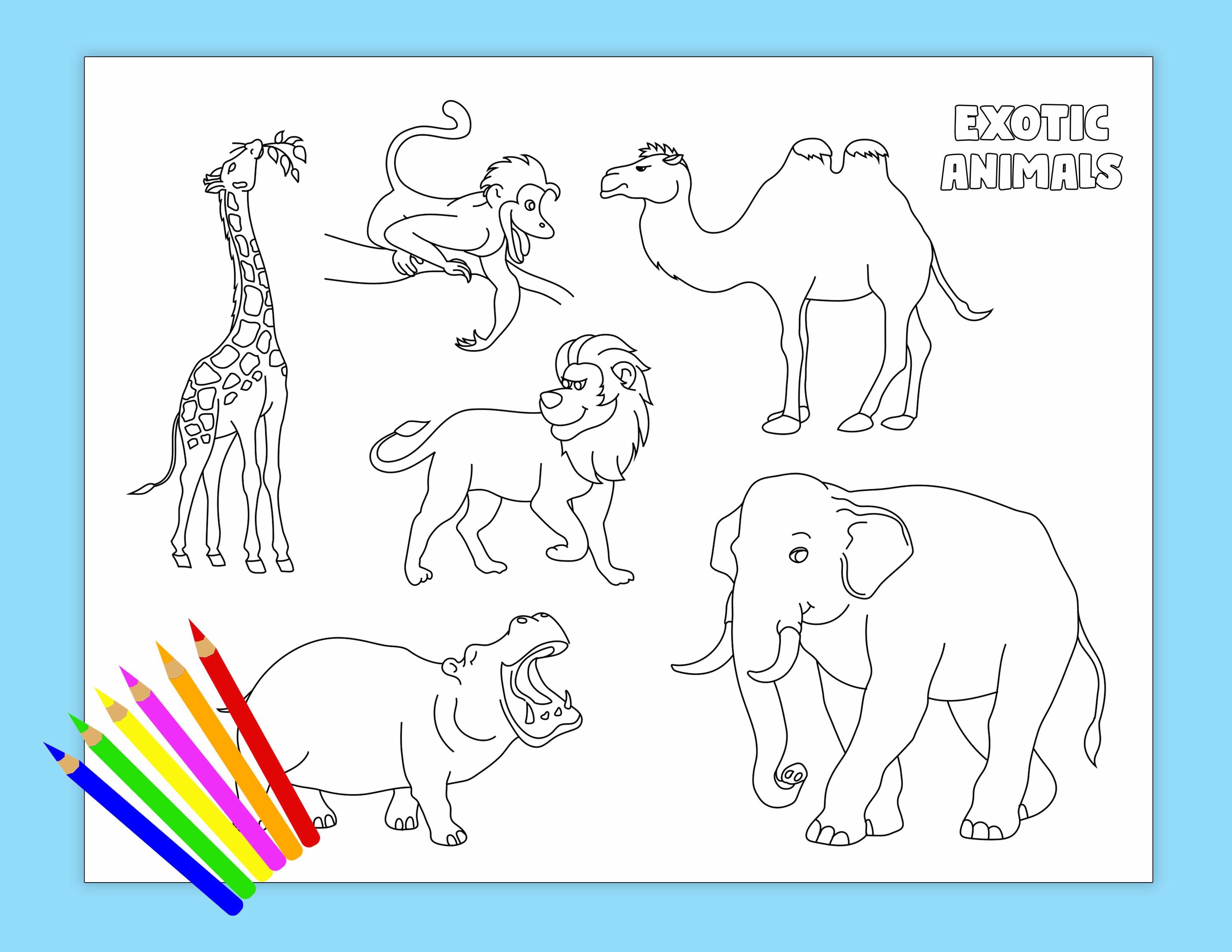 Exotic Animals Coloring Pages | Exotic Animal Coloring Book Pages ...