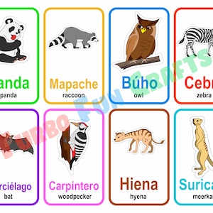 Spanish & English Animal Flashcards | Printable Bilingual Animals Flash ...