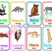 Spanish & English Animal Flashcards | Printable Bilingual Animals Flash ...