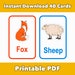 Animal Flashcards | Flashcards | Learn Animals | Preschool Memory Game ...