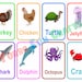 Animal Flashcards | Flashcards | Learn Animals | Preschool Memory Game ...