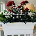 Bloomsbox Hand Crafted Faux Floral Creations, Window Box Filler - Etsy