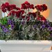 Bloomsbox Hand Crafted Faux Floral Creations, Window Box Filler - Etsy