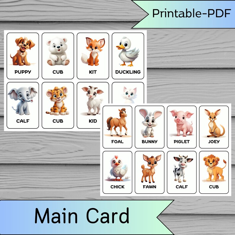 16 Baby Animal Cards Flashcards for Kids Printable Flash - Etsy