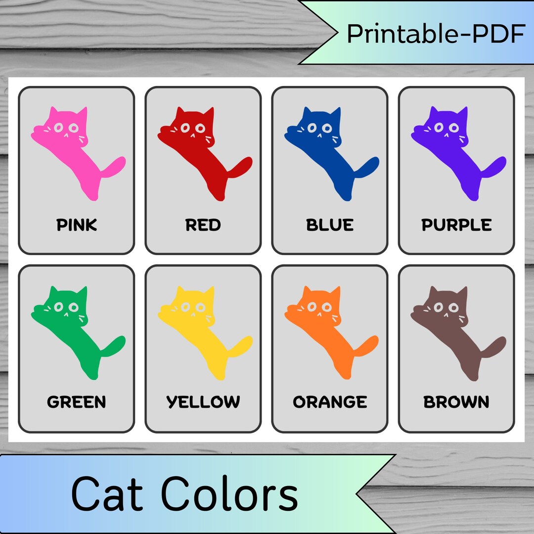 16 Cat Colors, Flashcards for Kids, Printable Flash Cards, Teacher ...