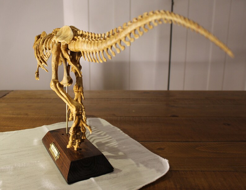 T-rex Skeleton, Tyrannosaurus Rex Skeleton Replica, 3d Printed, Hand ...