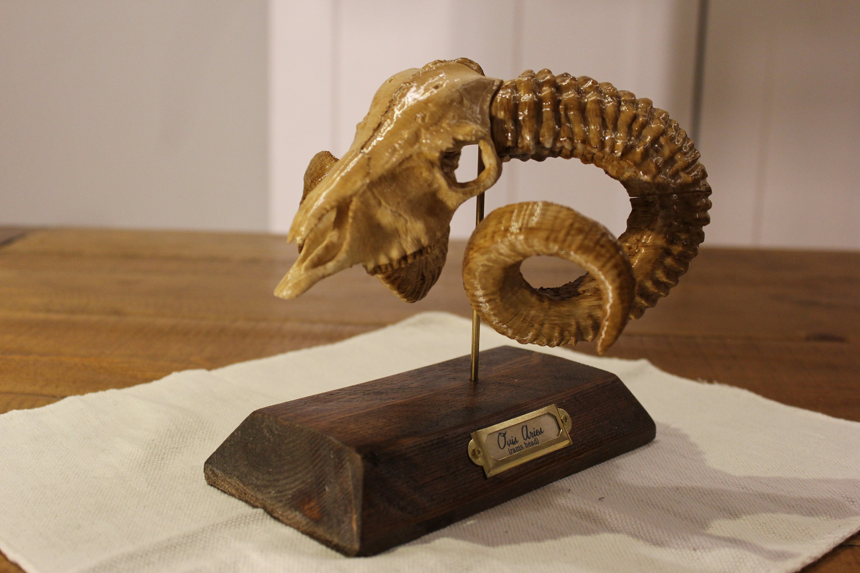 Rams Head Skull Replica, 3d Printed, Hand Painted/finished With Rustic ...