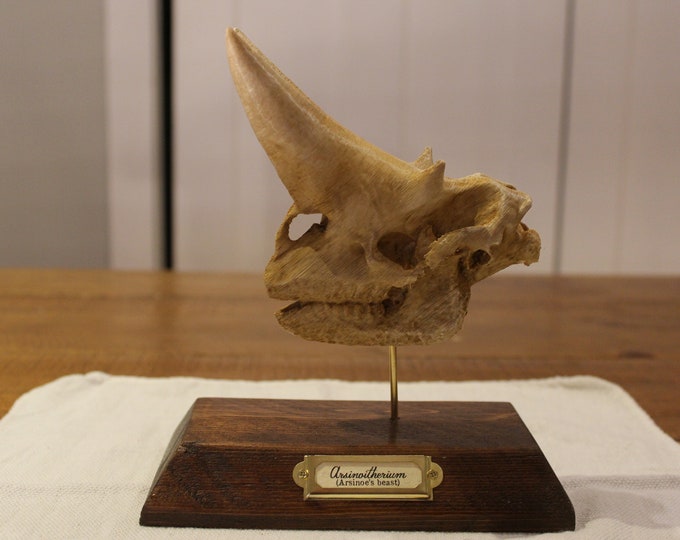 Arsinoitherium (hellboy Cow) Skull Replica, 3d Printed, Hand Painted ...