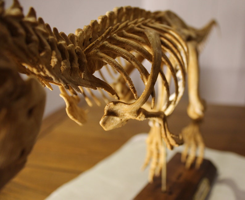 T-rex Skeleton, Tyrannosaurus Rex Skeleton Replica, 3d Printed, Hand ...