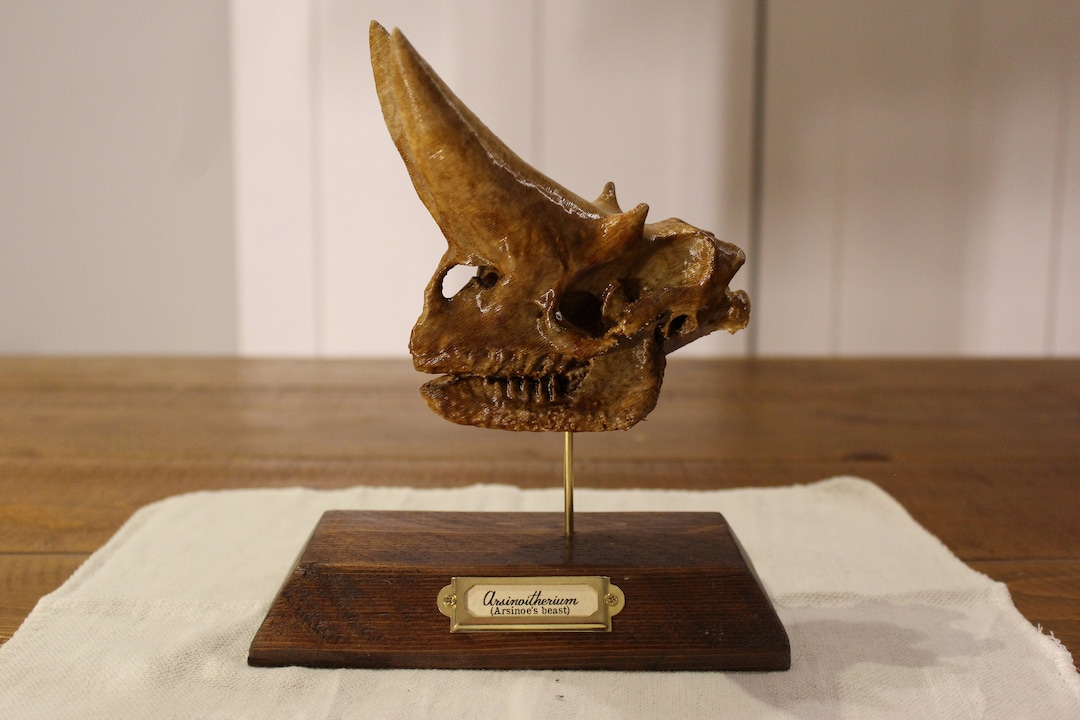 Arsinoitherium (hellboy Cow) Skull Replica, 3d Printed, Hand Painted ...
