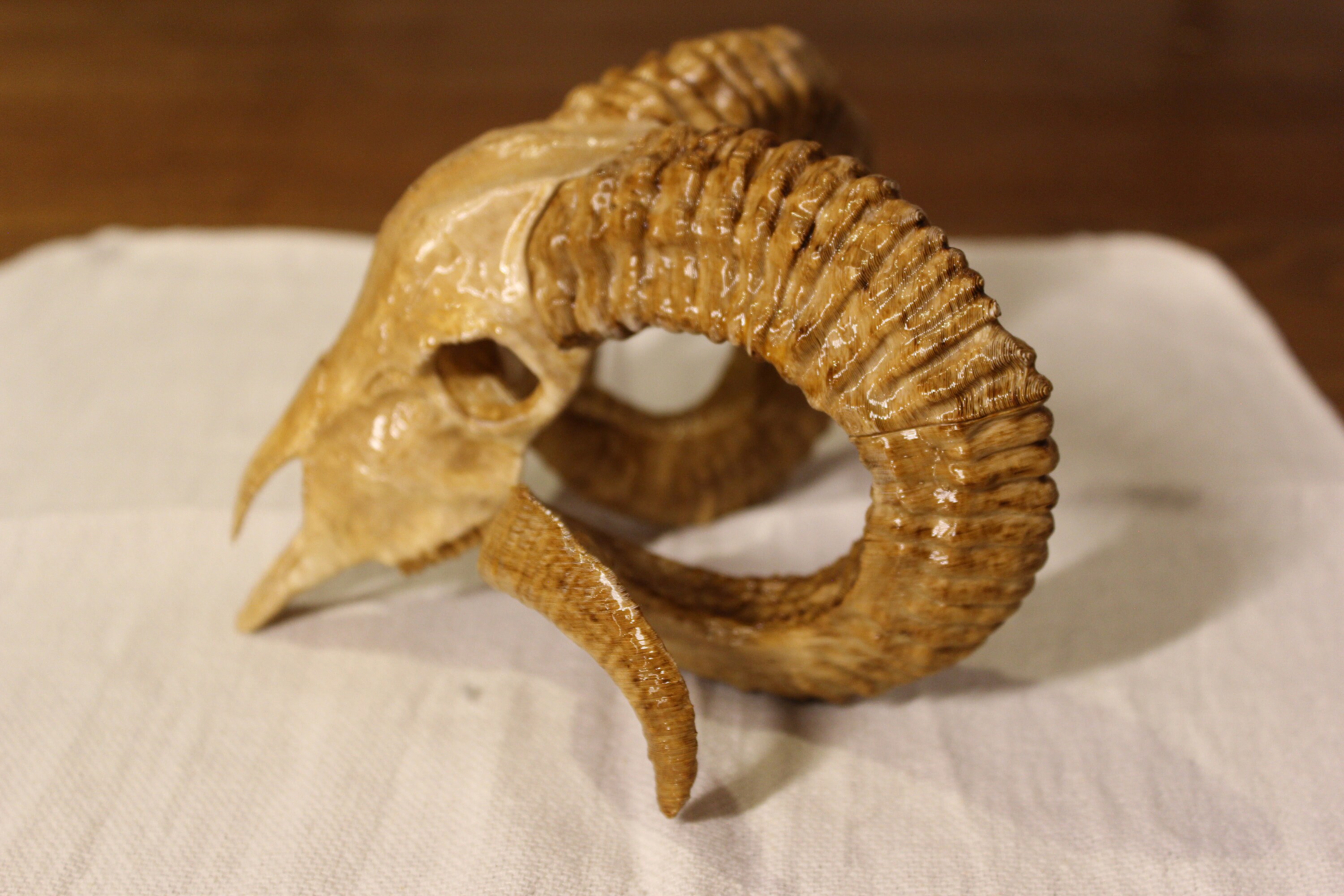 Rams Head Skull Replica, 3d Printed, Hand Painted/finished With Rustic ...