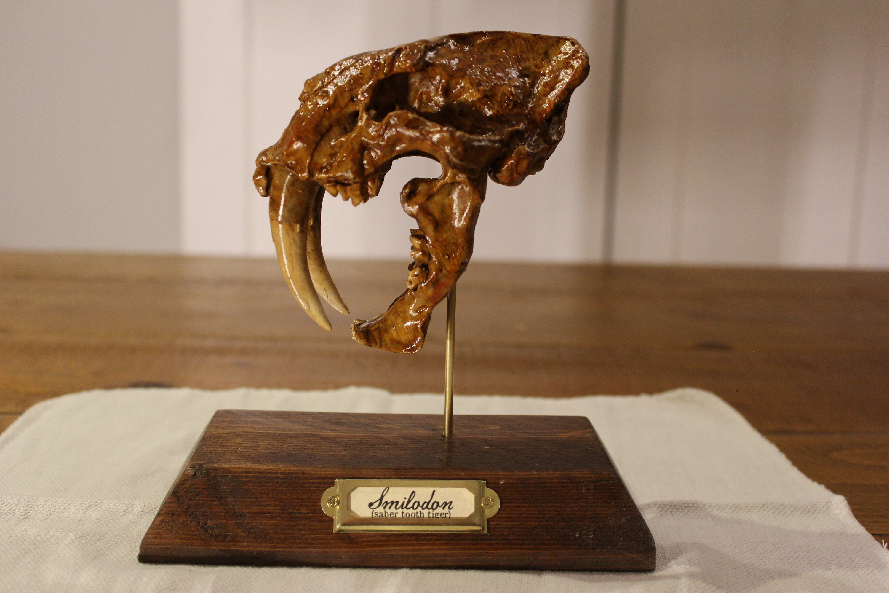 Saber-toothed Tiger Skull, Smilodon, Skull Replica, 3d Printed, Hand ...