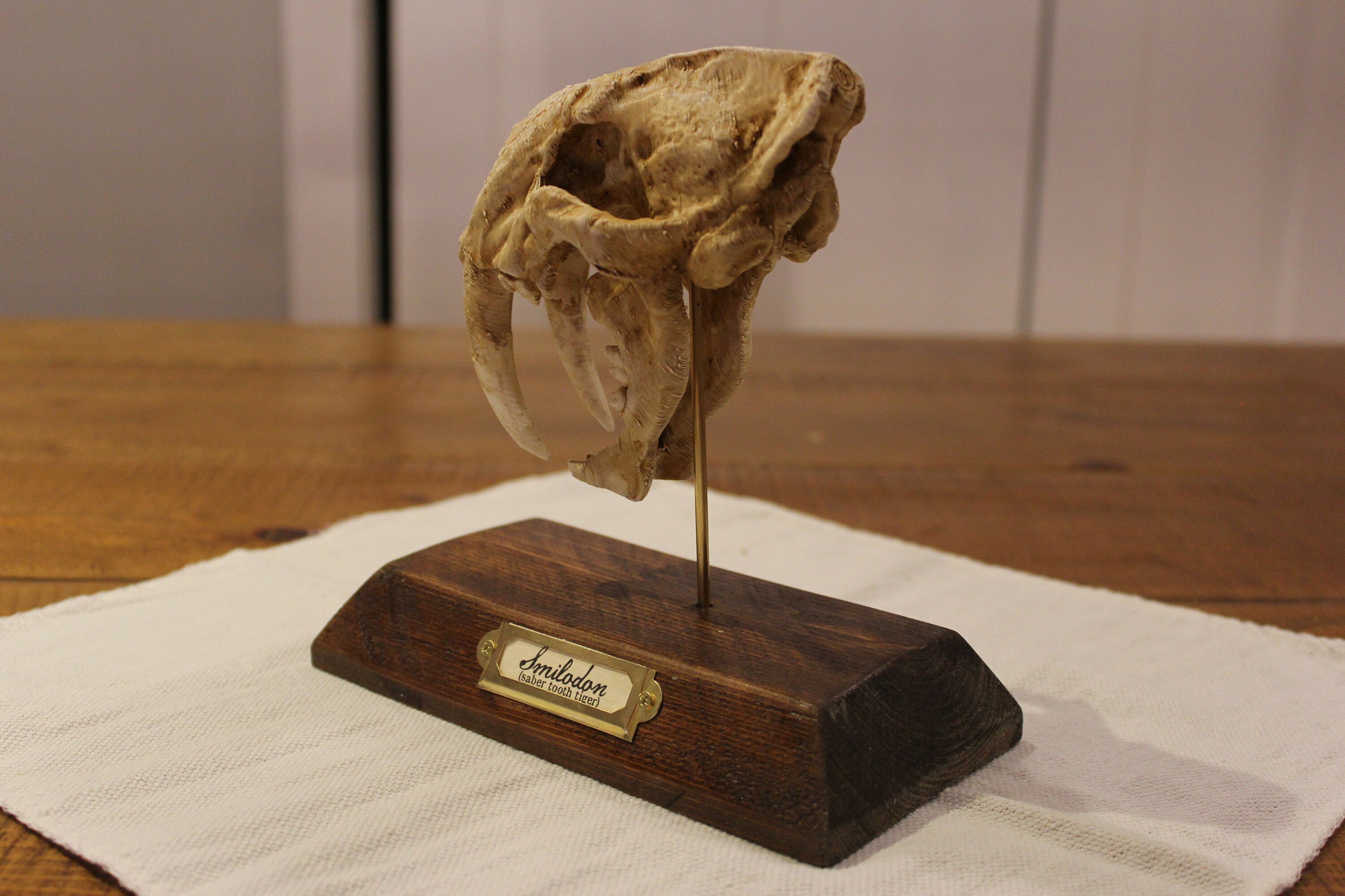 Saber-toothed Tiger Skull, Smilodon, Skull Replica, 3d Printed, Hand ...