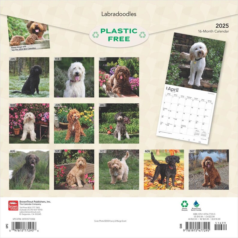 Labradoodles Calendar 2025 Square 30cm X 30cm 100% Plastic Free - Etsy
