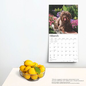 Labradoodles Calendar 2025 Square 30cm X 30cm 100% Plastic Free - Etsy