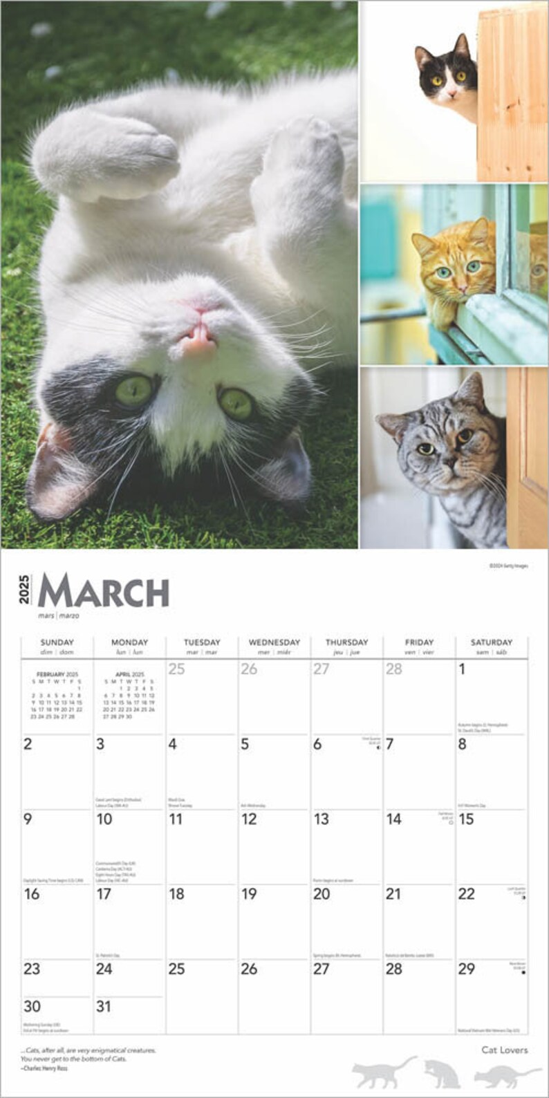 Cat Lovers Calendar 2025 Square 30cm X 30cm 100% Plastic Free - Etsy UK