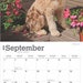 Labradoodles Calendar 2025 Square 30cm X 30cm 100% Plastic Free - Etsy