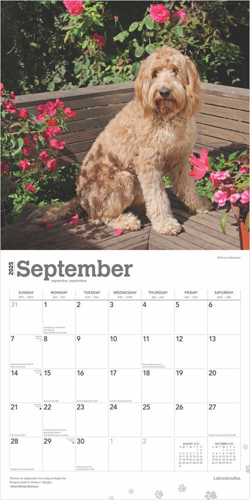 Labradoodles Calendar 2025 Square 30cm X 30cm 100% Plastic Free - Etsy