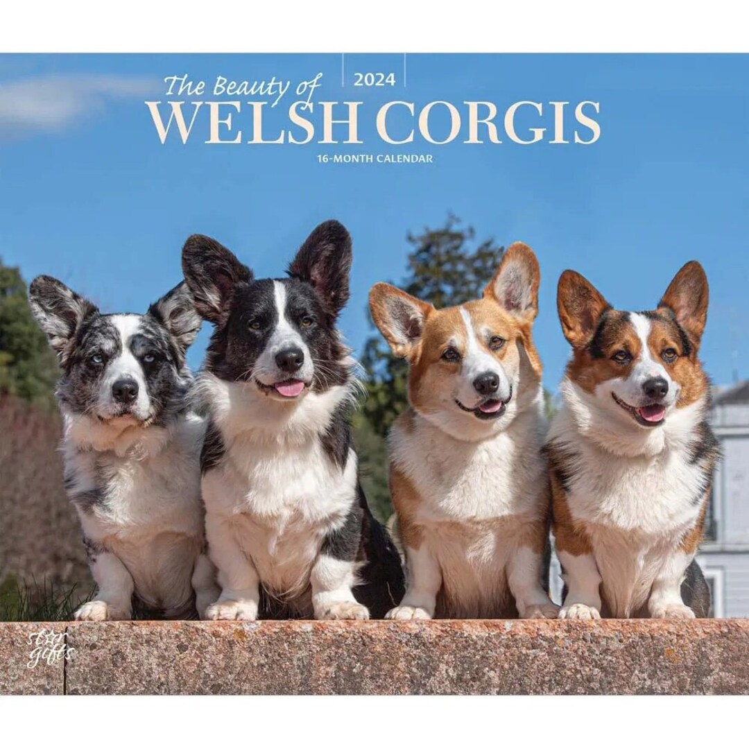 The Beauty of Welsh Corgis 2024 14 X 14 Inch Monthly Deluxe - Etsy UK