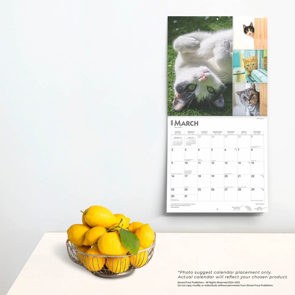 Cat Lovers Calendar 2025 Square 30cm X 30cm 100% Plastic Free - Etsy UK