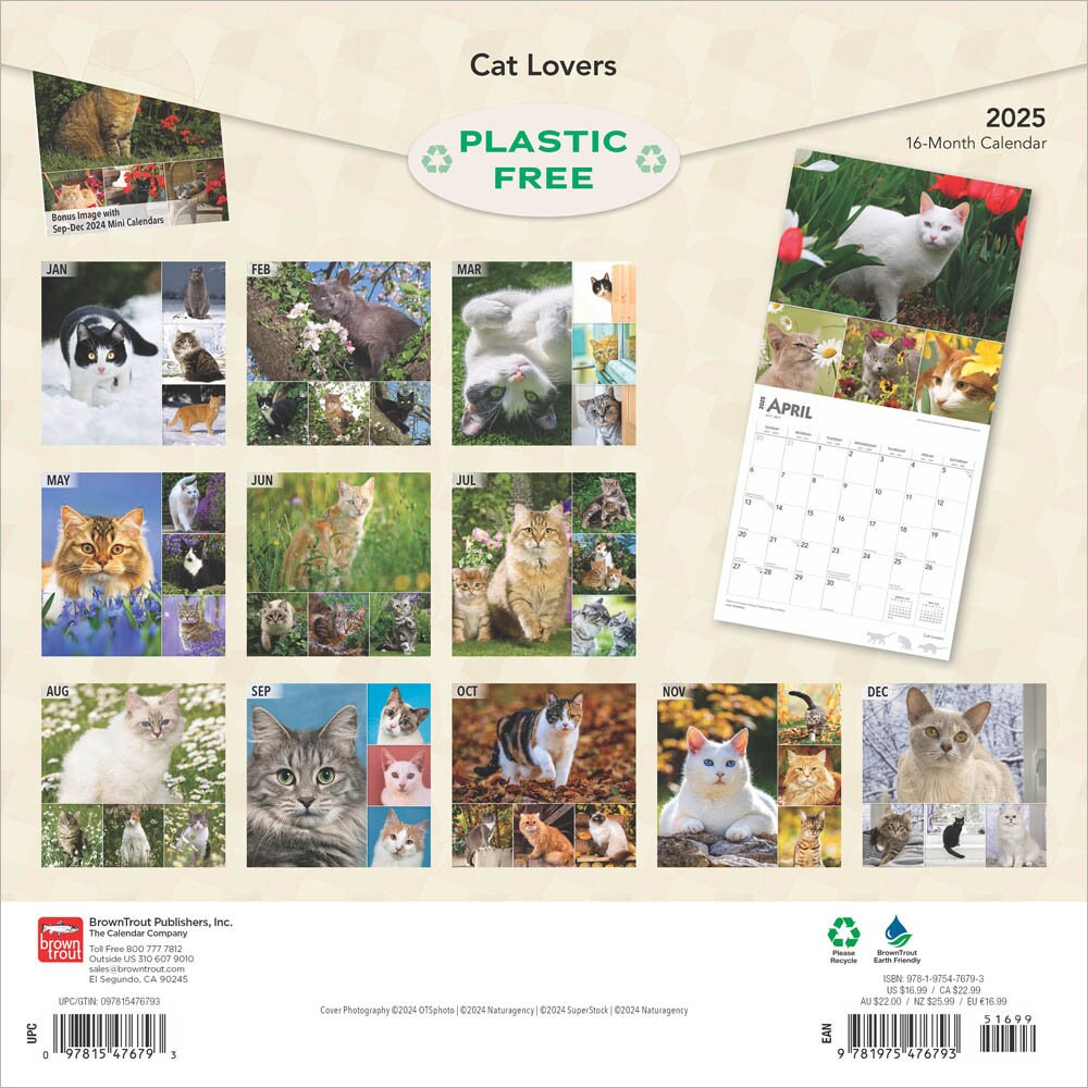 Cat Lovers Calendar 2025 Square 30cm X 30cm 100% Plastic Free - Etsy UK