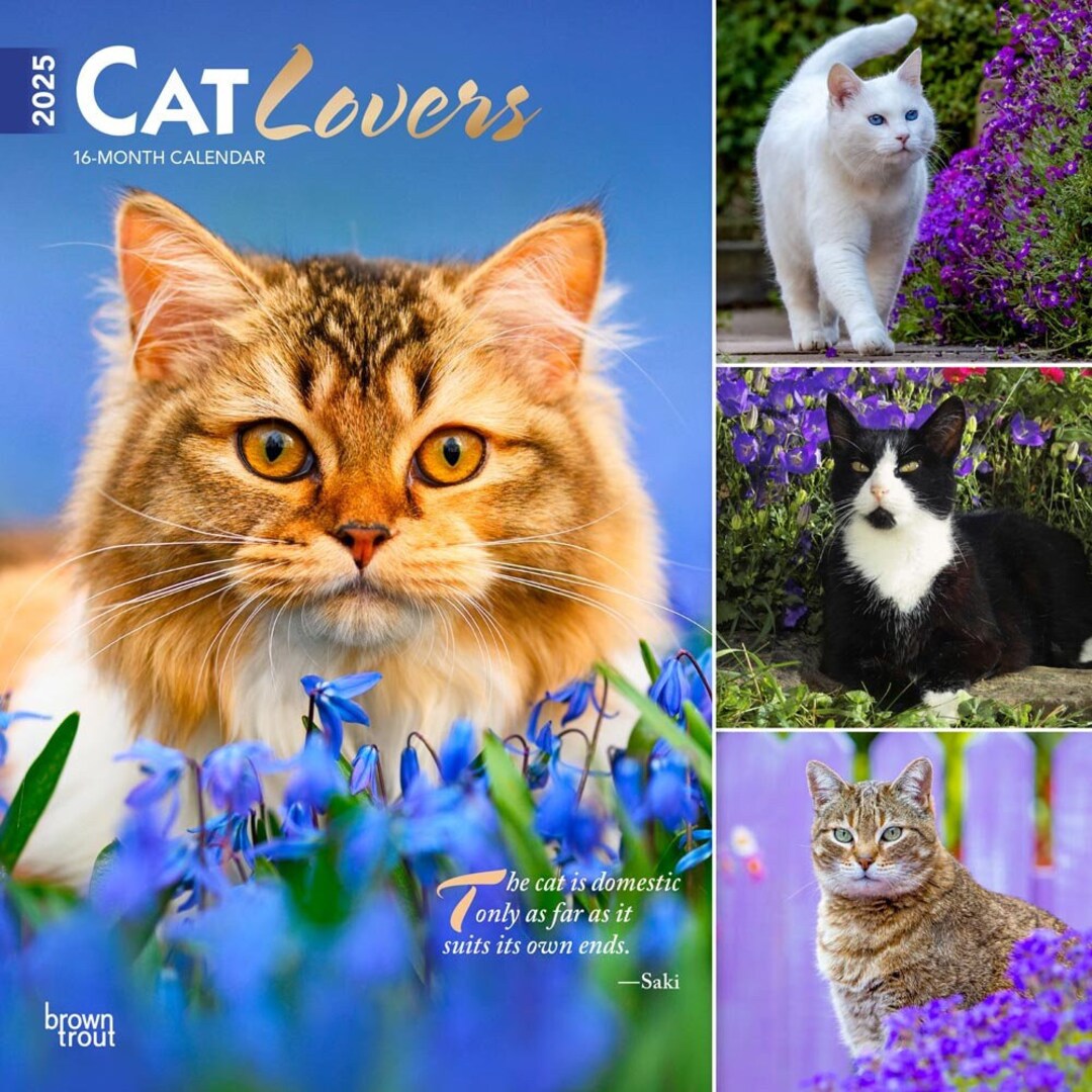 Cat Lovers Calendar 2025 | Square 30cm X 30cm | 100% Plastic Free - Etsy UK