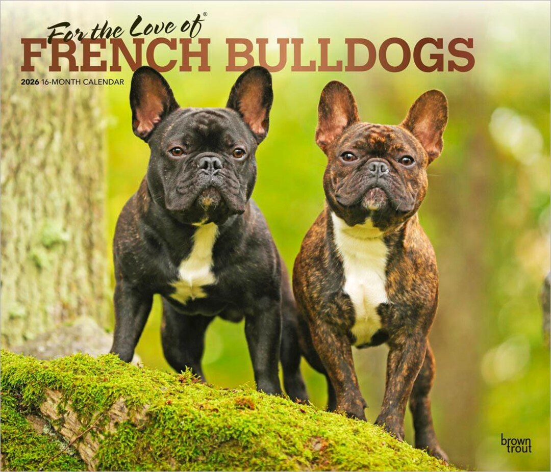 French Bulldog Calendar 2026: Large Plastic-free Wall Calendar - Etsy