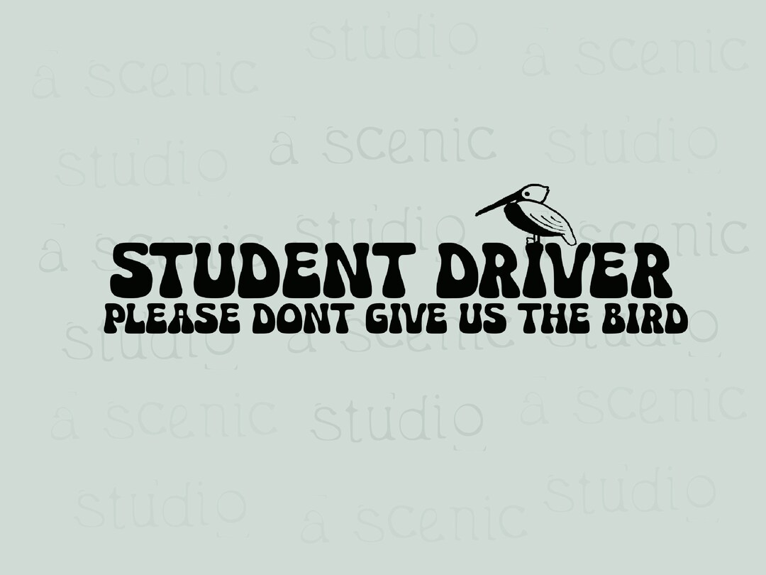Student Driver Svg - Etsy