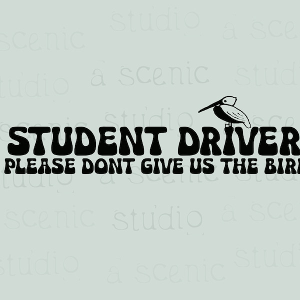 New Driver Svg - Etsy
