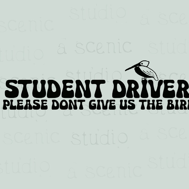 New Driver Svg - Etsy