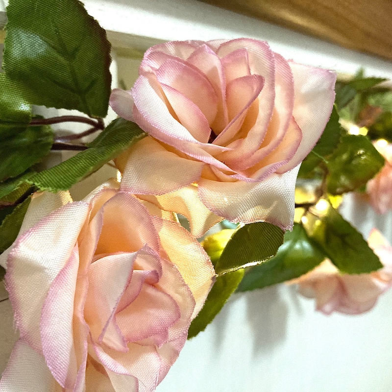 Rose String Lights - Etsy