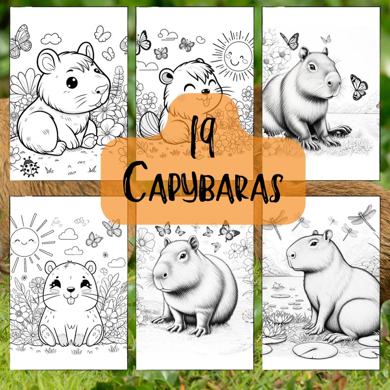 Capybara Printable Coloring Pages - 19 Page Collection, Creative Fun ...