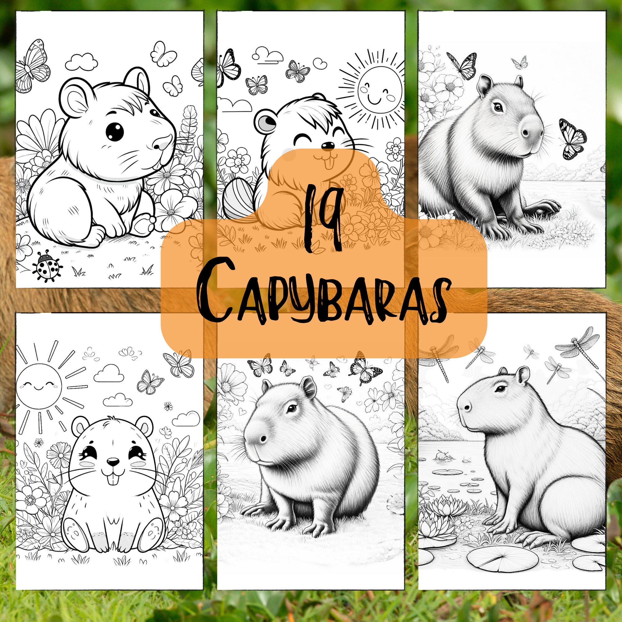 Capybara Printable Coloring Pages - 19 Page Collection, Creative Fun ...